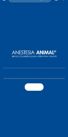 [Web] CanvasKit not rendering text · Issue #47041 · flutter/flutter · GitHub