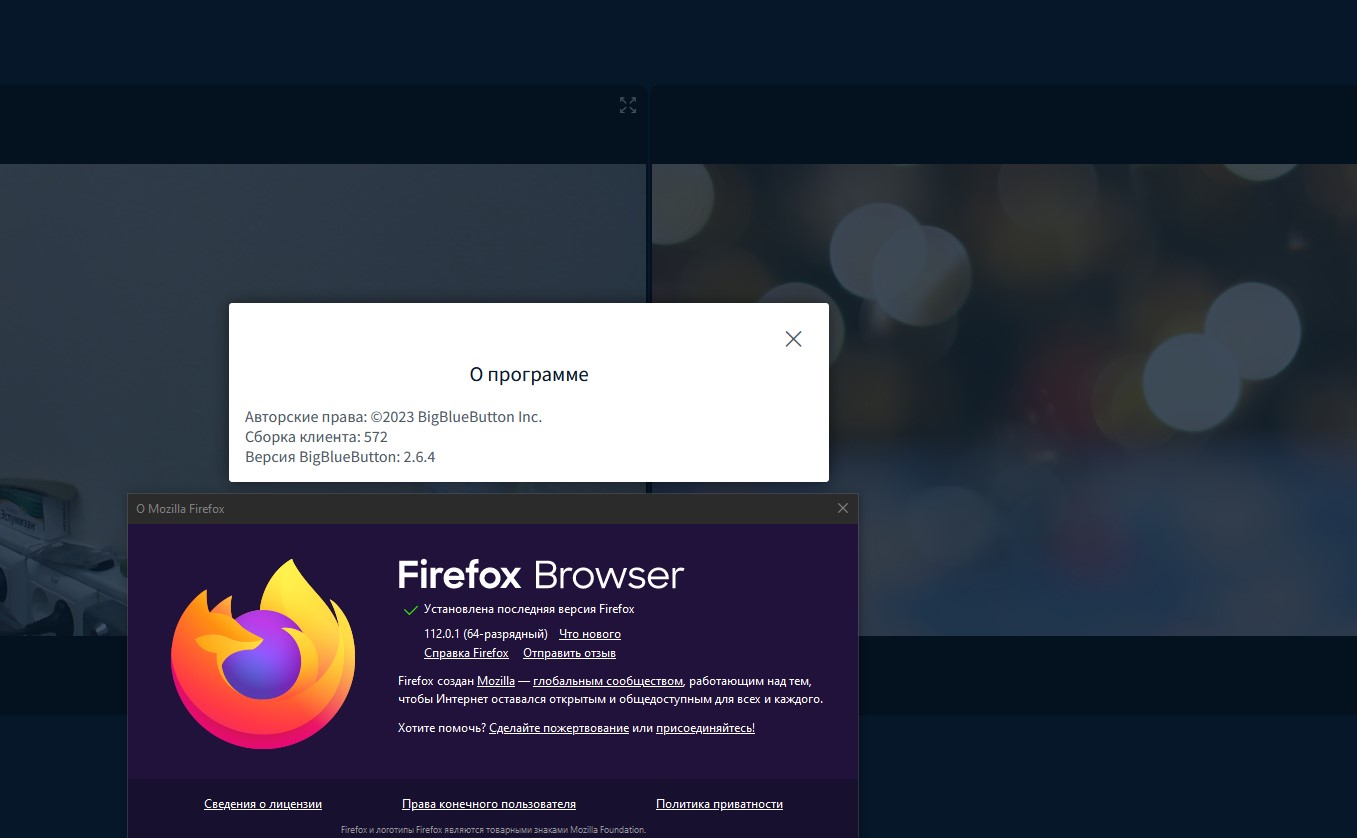 264 Webcam In Firefox Browser Win Not Possible · Issue 17694 · Bigbluebutton