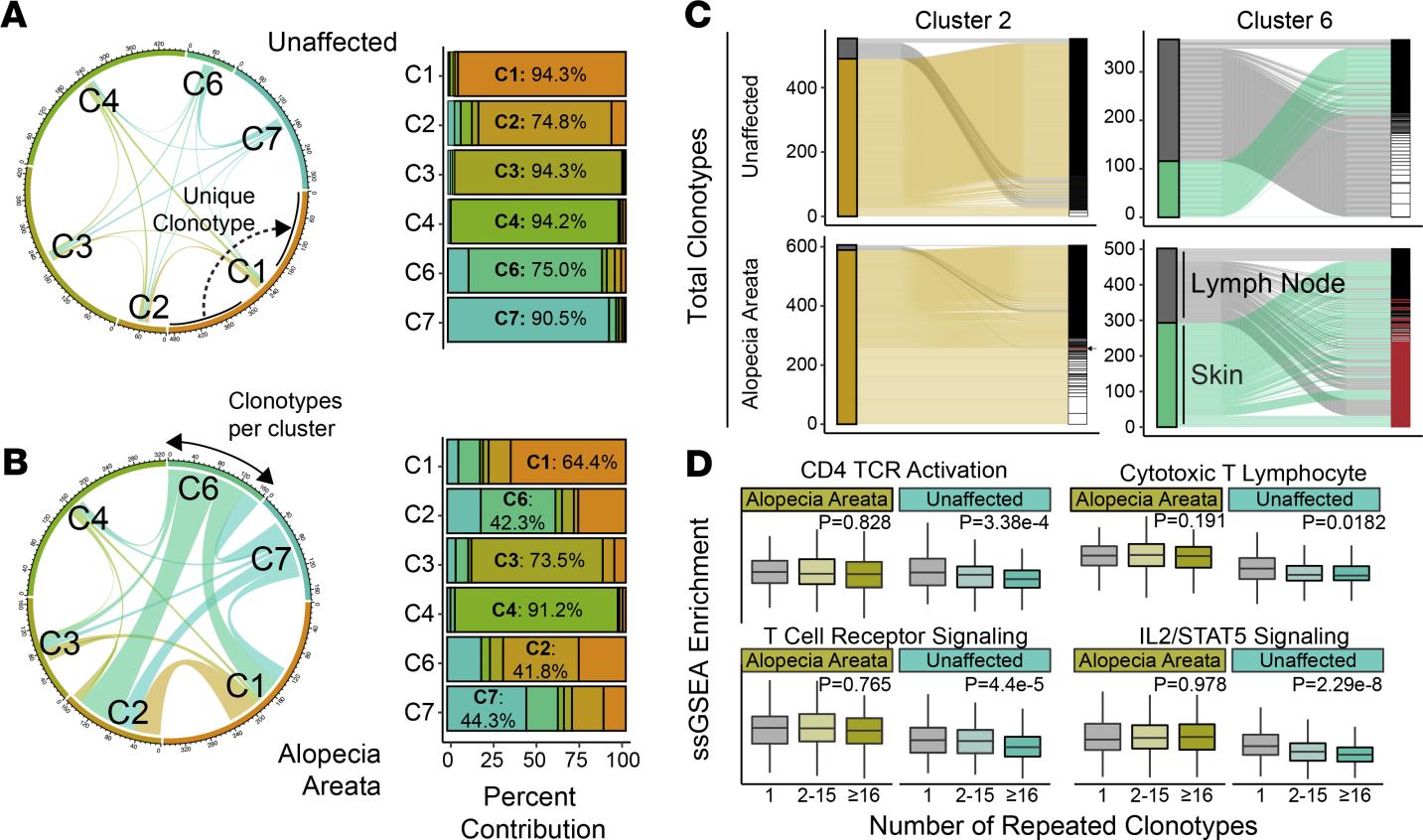 Multiple comparison using compareClonotypes · Issue #29 · BorchLab/scRepertoire · GitHub