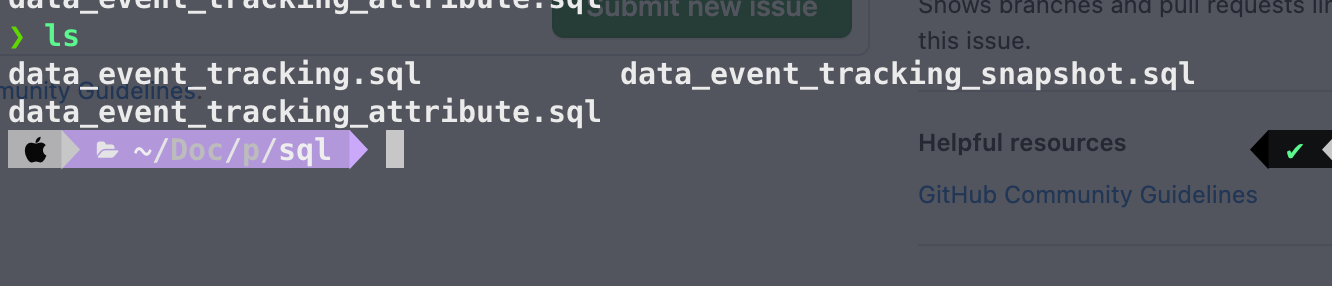 There is a problem with the display · Issue #2320 · romkatv/powerlevel10k · GitHub