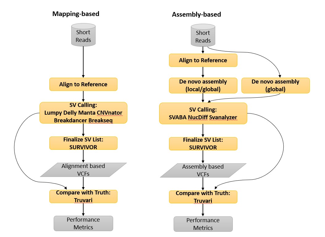 GitHub - collaborativebioinformatics/SVHack_assemblyvmapping