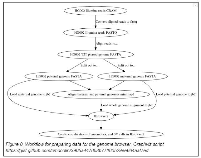 GitHub - collaborativebioinformatics/SVHack_assemblyvmapping