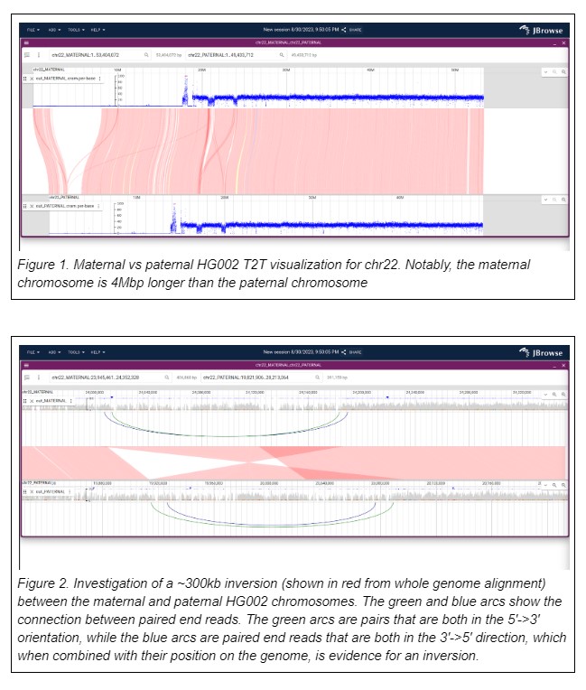 GitHub - collaborativebioinformatics/SVHack_assemblyvmapping