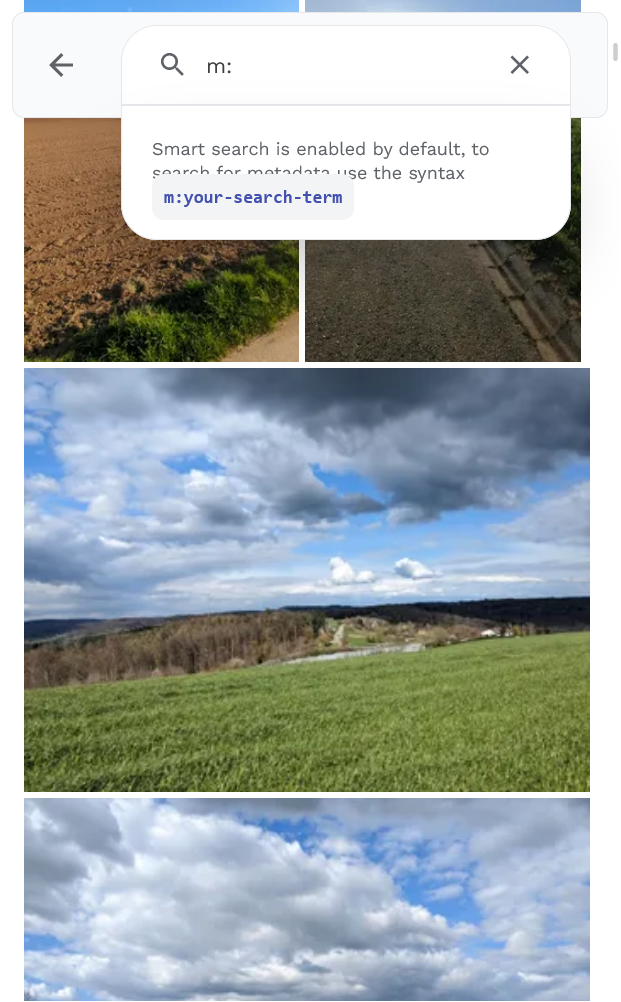 [BUG] 400 error in search when only typing m: · Issue #2256 · immich-app/immich · GitHub