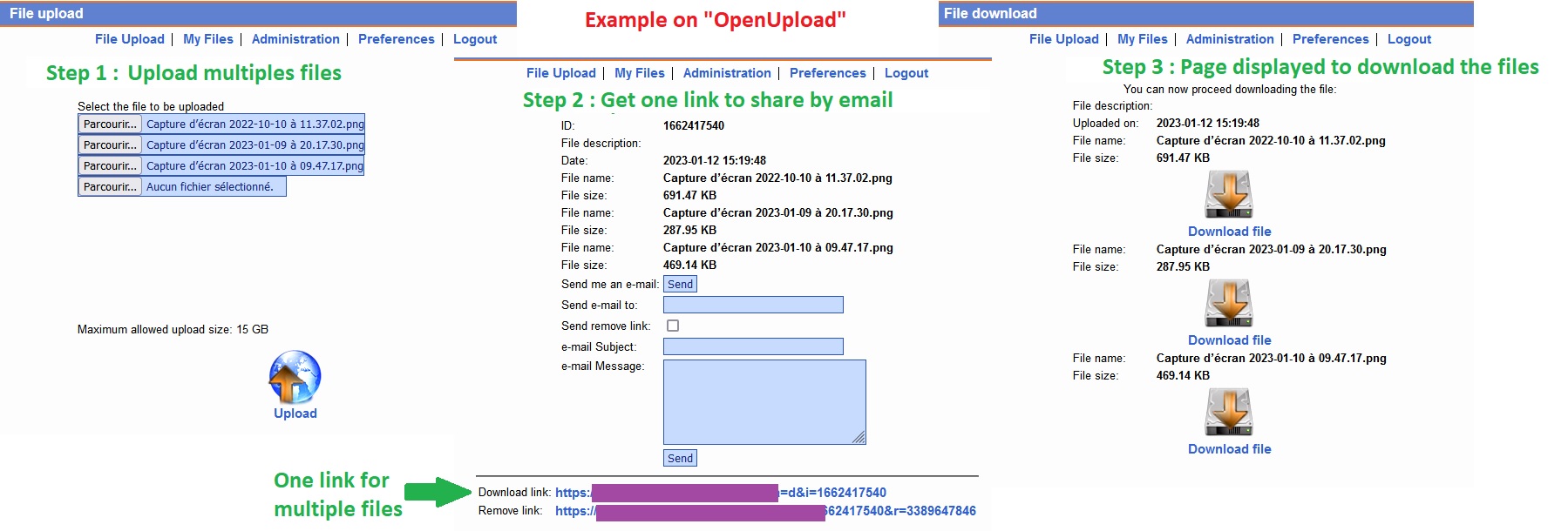 Multiple Public Files Download In One Link · Issue 1198 · Projectsend Projectsend · Github