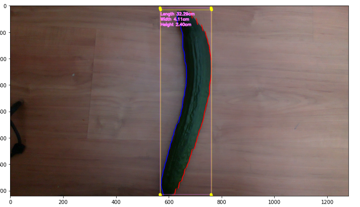 GitHub - Asad-Ismail/realsense-fruitmeasurement: Using Realsense (L515) find dimensions/size of ...