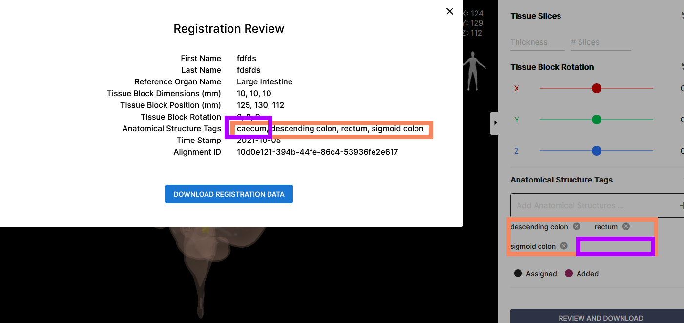 Removed AS tags linger in Registration Review modal · Issue #693 · hubmapconsortium/ccf-ui · GitHub