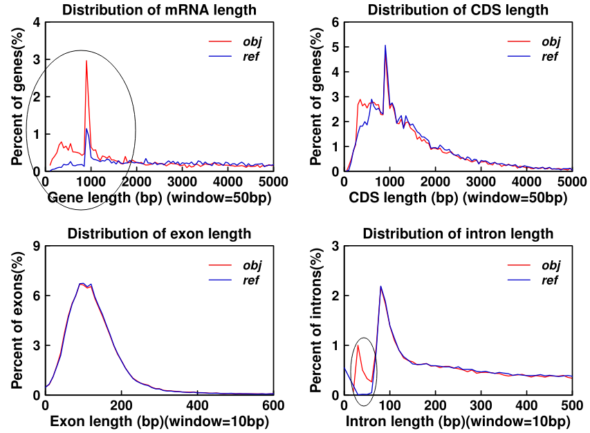 Small Gene Models After Gaf Issue 32 Jstacs Jstacs Github