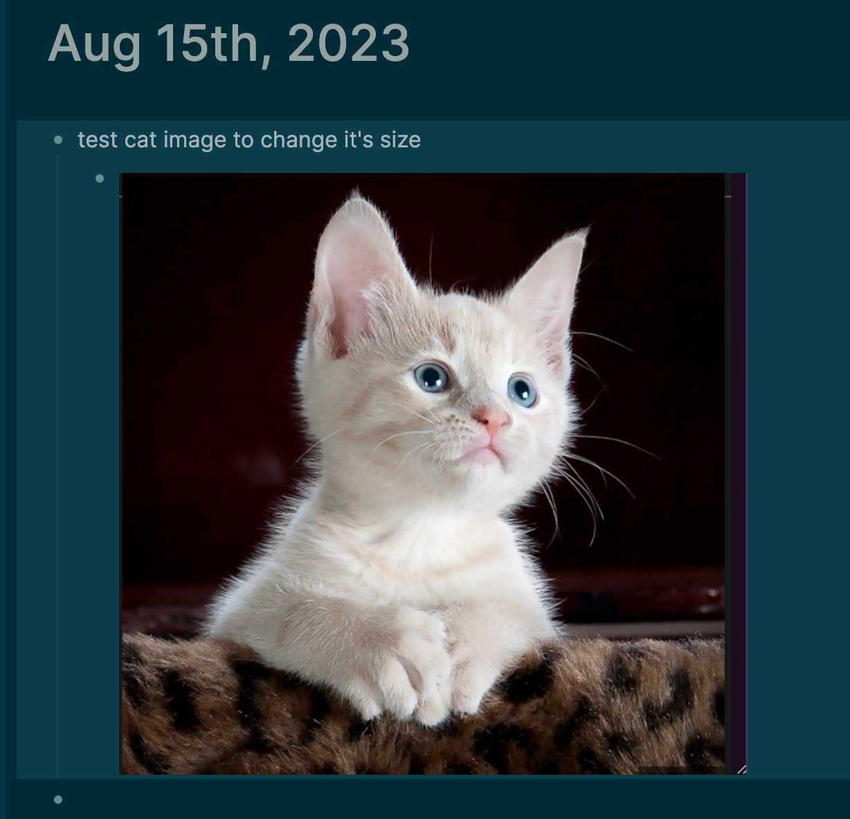Image crops after resize · Issue #10025 · logseq/logseq · GitHub