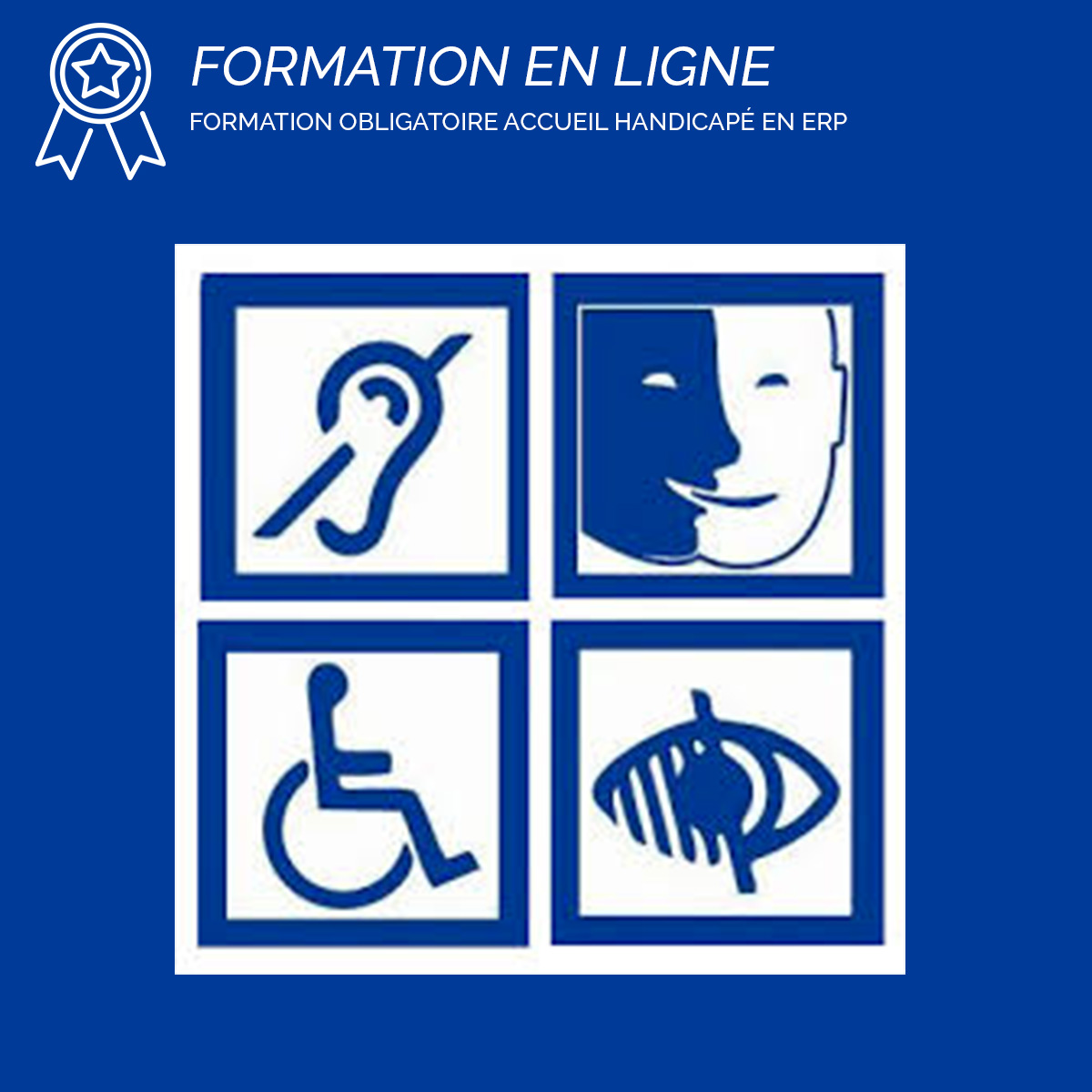 can you add french icons mental disability ; motor disability ...