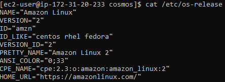 NPM install fails on ec2 server · Issue #21 · discordjs/opus · GitHub