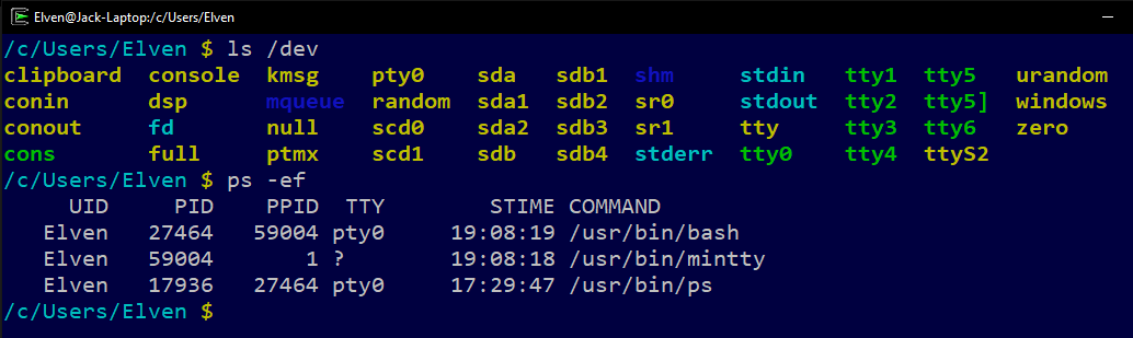 Closing a mintty terminal doesn't always clear up the session · Issue ...