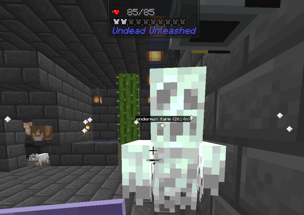 No show nametag mobs Mods · Issue #461 · ArcanePlugins/LevelledMobs · GitHub