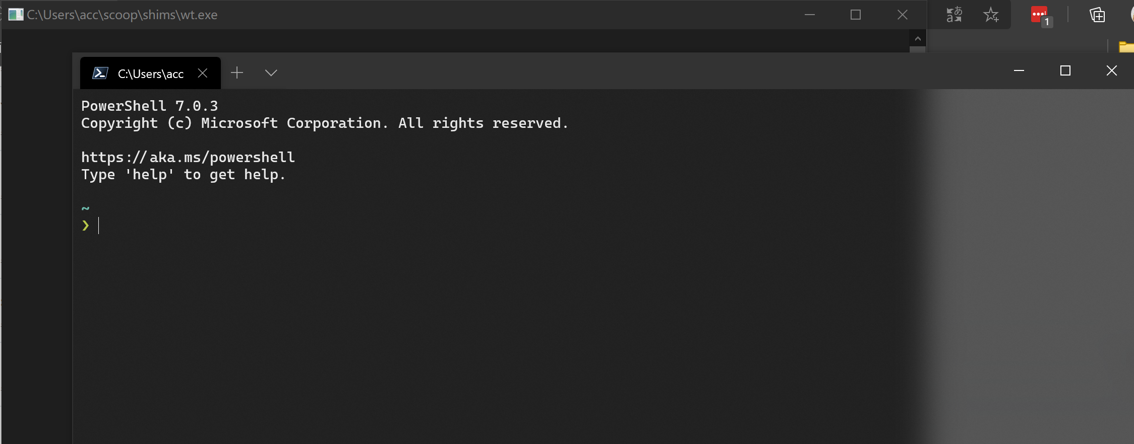 windows-terminal: function issue · Issue #4531 · ScoopInstaller/Extras · GitHub