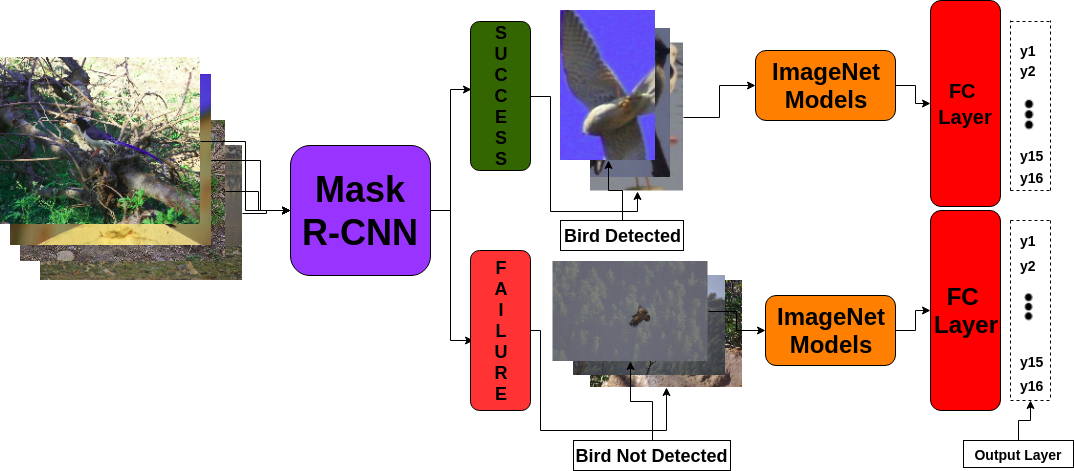 Github Diptamath Bird Species Classification Supervised