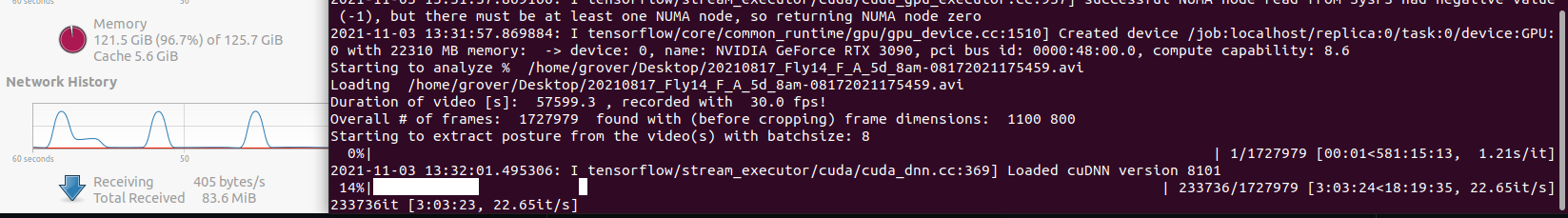 Memory Error During Video Analysis · Issue #1468 · DeepLabCut/DeepLabCut · GitHub