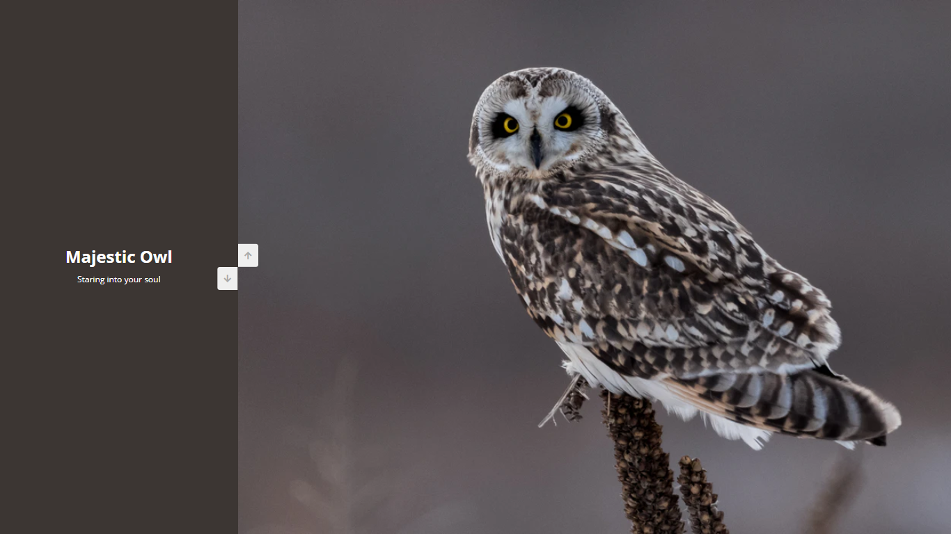 GitHub - TheRealRajan/Vertical-Slider: A visually pleasing vertical ...