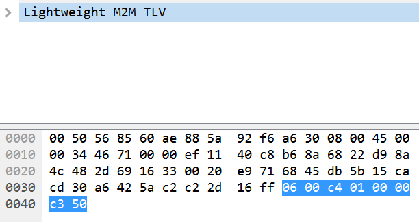 Codecexception During Read Request With Id Conflict Between Path And Resource Tlv · Issue 460