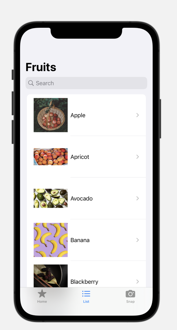 GitHub - pss-coder/FruitXplain