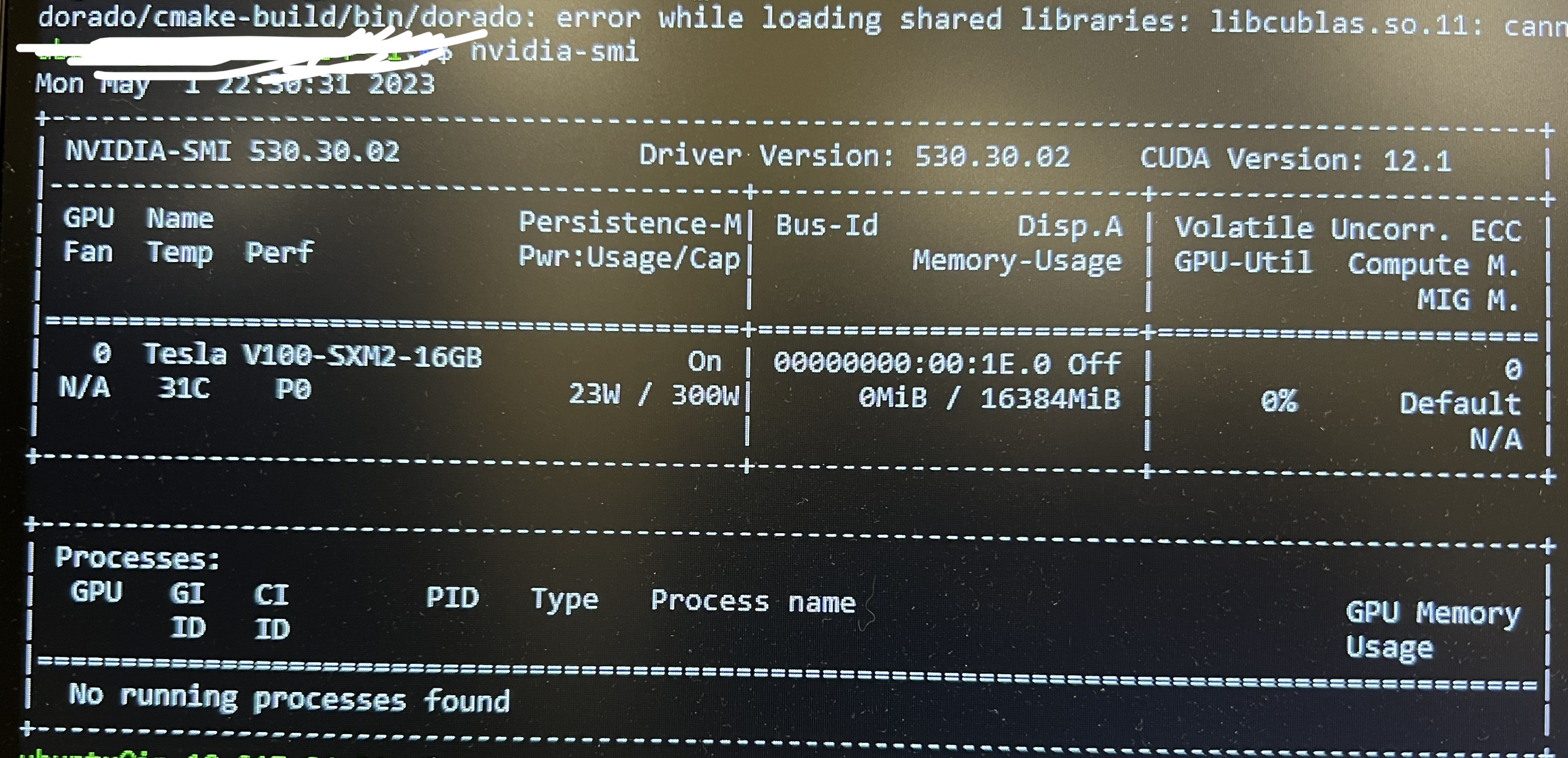 Probably a CUDA Issue · Issue #165 · nanoporetech/dorado · GitHub