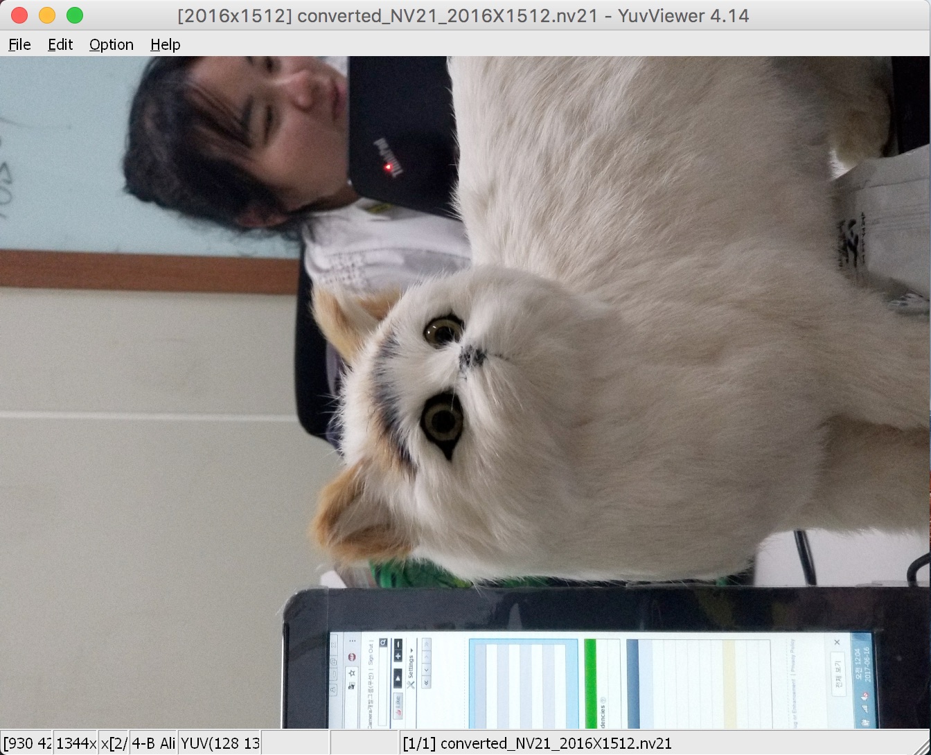 NV21 can't display well · Issue #92 · IENT/YUView · GitHub