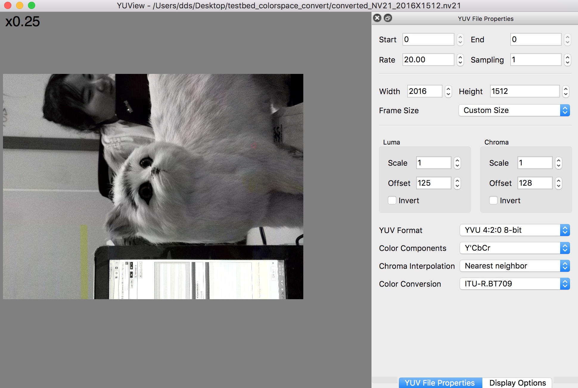 NV21 can't display well · Issue #92 · IENT/YUView · GitHub
