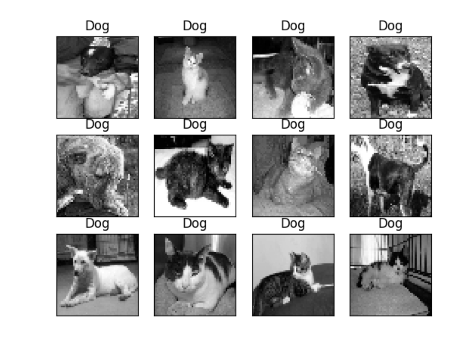 GitHub - davlu/Dog-vs-Cat--ML-1: Tensorflow model to correctly identify ...