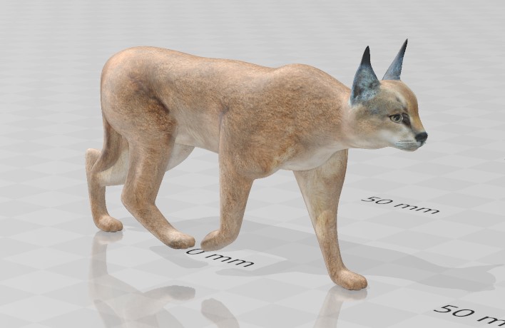 Github Gemalhisuin3d Cat Rendering Using Pbrt Computer Graphics Algorithm The Pbrt Based Cat