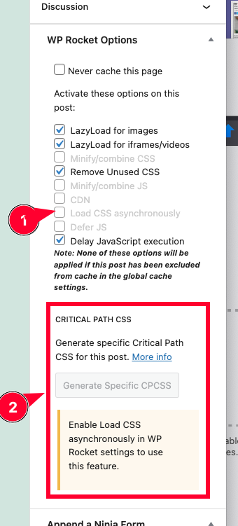 Hide Generate specific Critical Path CSS for this post if Load CSS Asynchronously is disabled ...