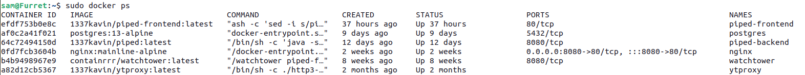 Updates to piped-frontend result in infinite refresh loop on iOS 16 ...