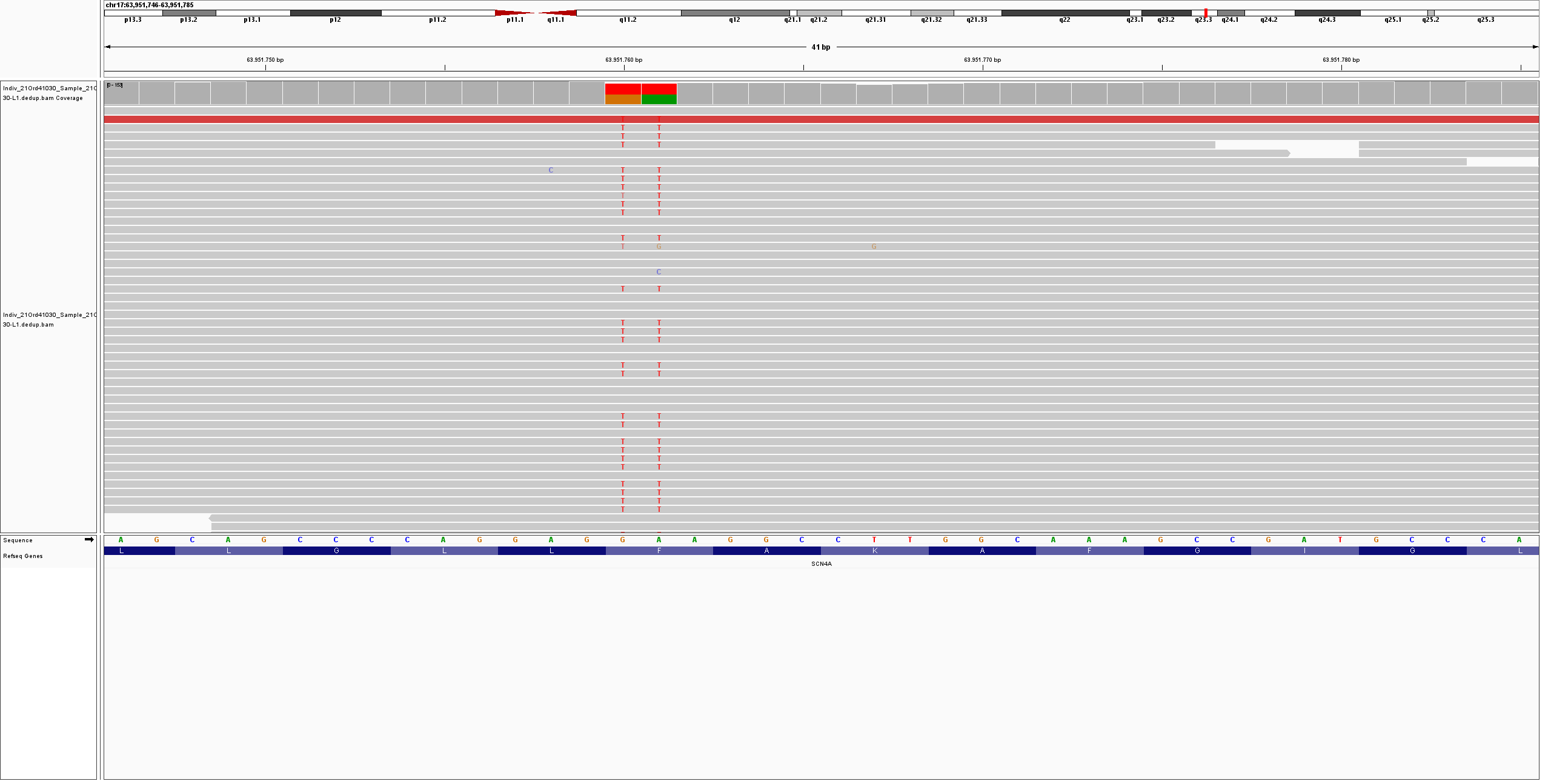 Suspect variant call (variants not collapsed) · Issue #520 · google/deepvariant · GitHub