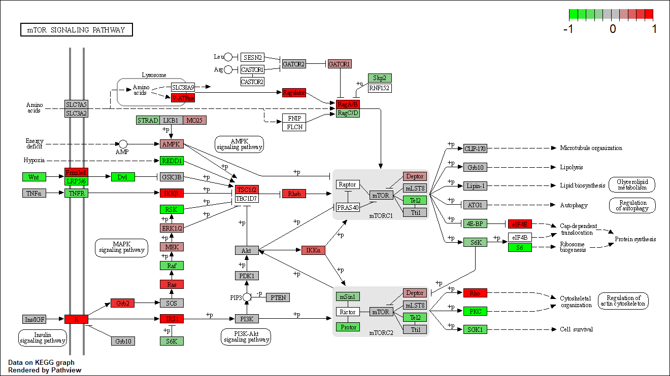 failed to download KEGG xml/png files · Issue #13 · datapplab/pathview · GitHub