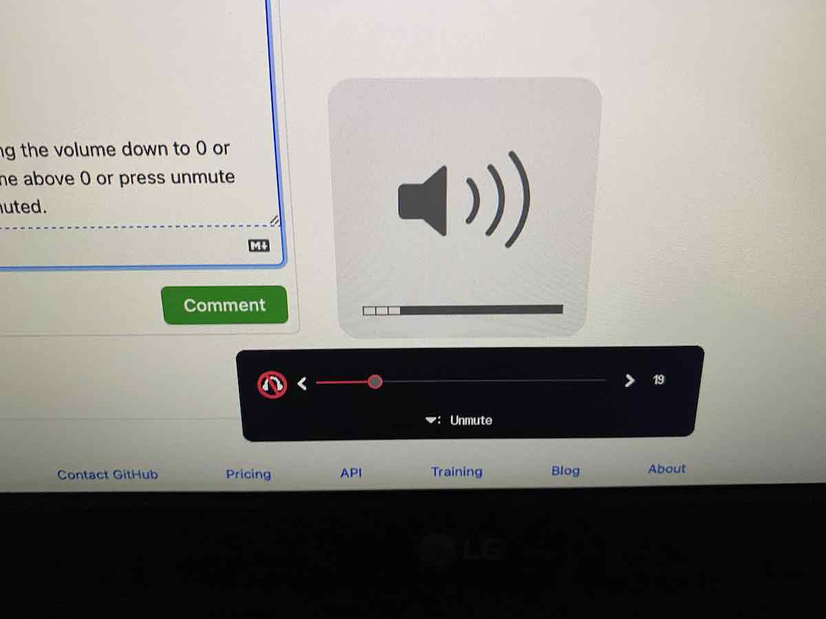 LG Monitor: have to unmute manually after muting · Issue #170 ...