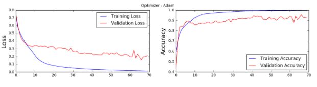 GitHub - Rajat2712/Mushroom-Classification