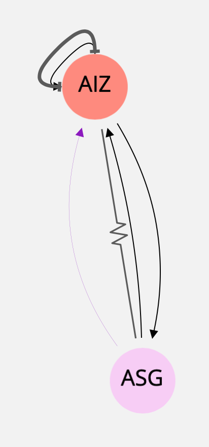 Synaptic and functional lines overlap in certain cases · Issue #42 · PrincetonUniversity/neuron ...