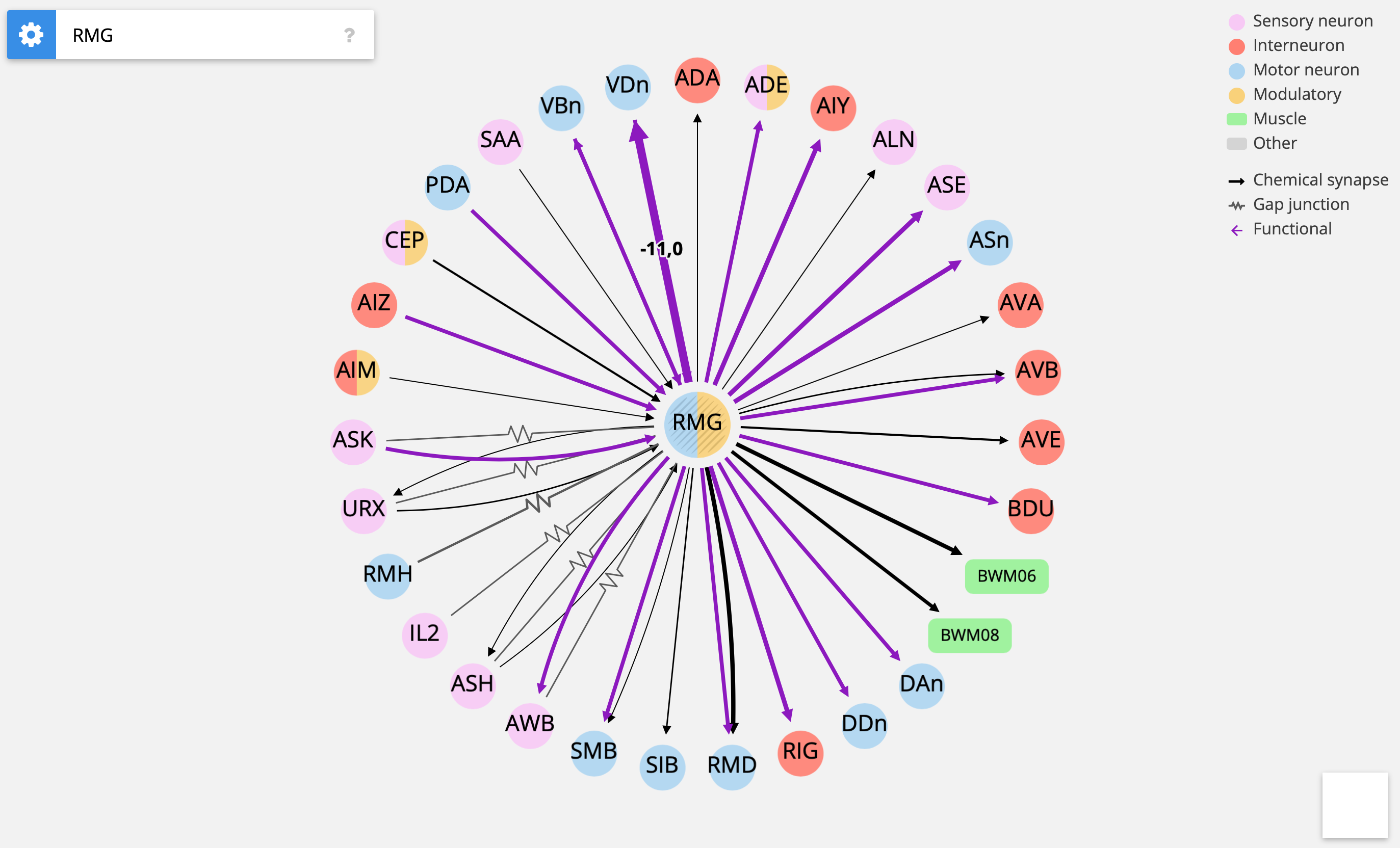 Use the `delta f / f` edge weights to determine functional connection line widths · Issue #33 ...