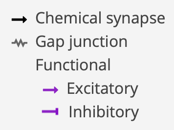 Bad legend display in Firefox browser · Issue #64 · PrincetonUniversity/neuron-graph · GitHub