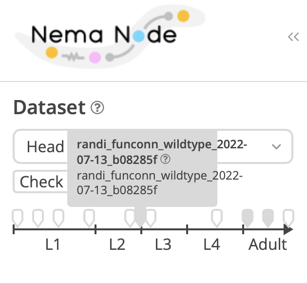 Change functional connection dataset names and metadata · Issue #36 · PrincetonUniversity/neuron ...