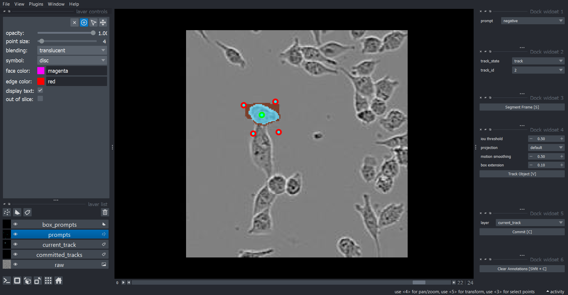 Division object is projected to next frame · Issue #113 · computational-cell-analytics/micro-sam ...