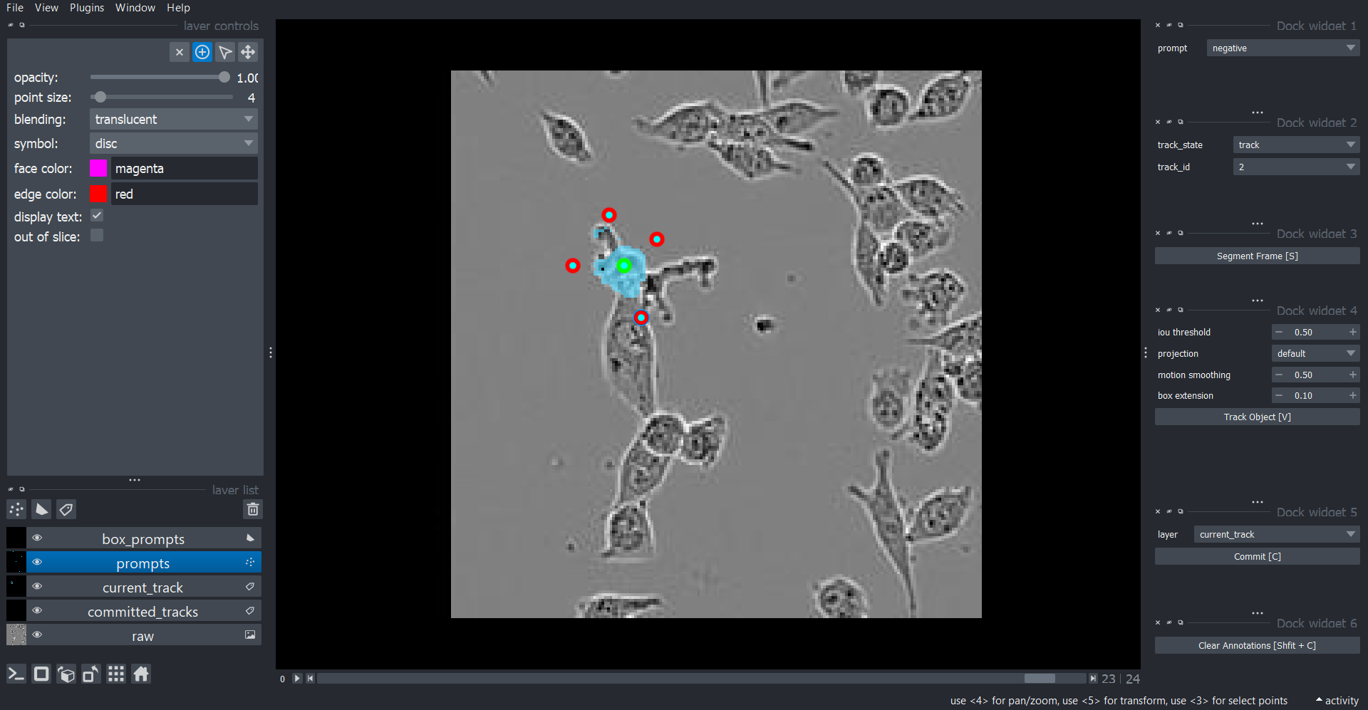 Division object is projected to next frame · Issue #113 · computational-cell-analytics/micro-sam ...