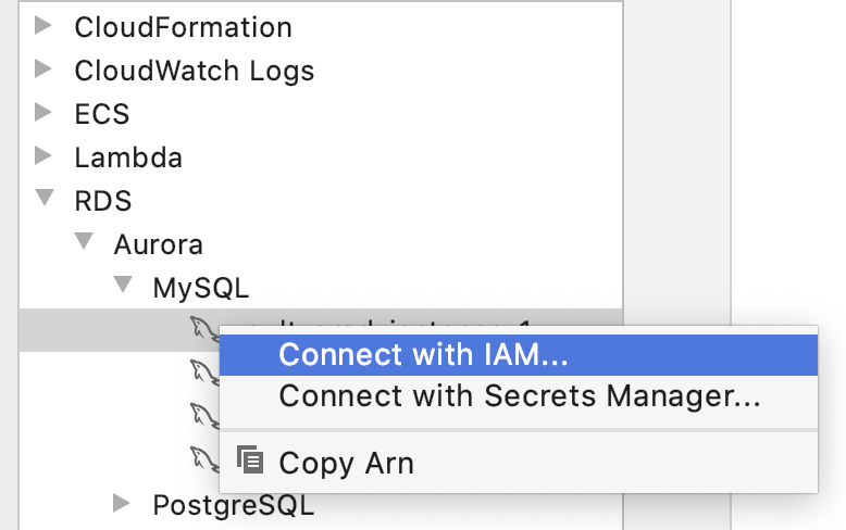 RDS IAM Authentication - forgets user? · Issue #2141 · aws/aws-toolkit-jetbrains · GitHub