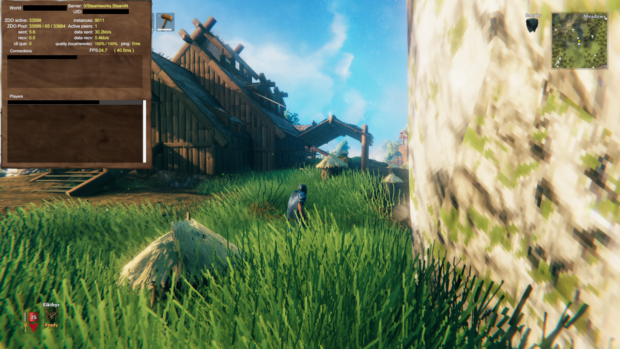 Delayed but sustained FPS drop while moving the camera view in Valheim · Issue #197 · BepInEx ...