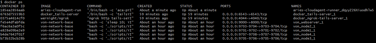 ACA-Py agent V0.6.0 can't run agent on localhost · Issue #1279 · openwallet-foundation/acapy ...