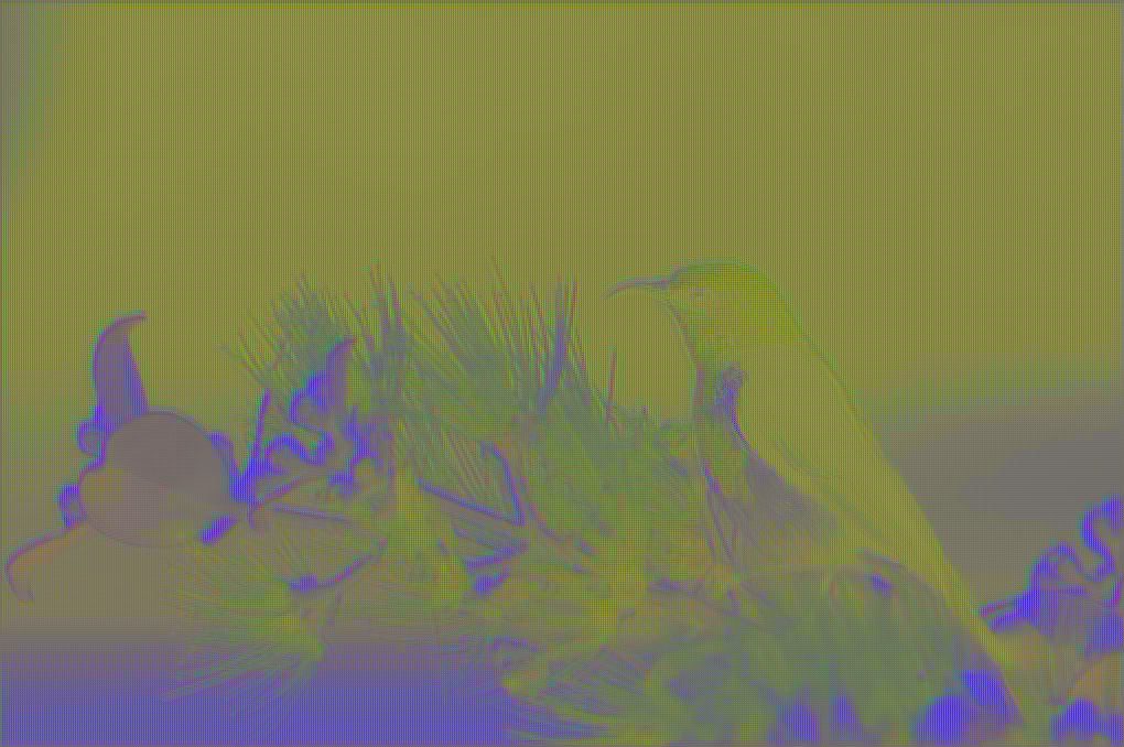 Output Image Losing Rgb · Issue 108 · Sanghyun Son Edsr Pytorch · Github