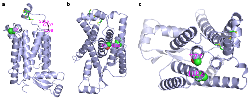 B.1.617.2 sub-lineage with ORF1a: I3731V · Issue #121 · cov-lineages ...