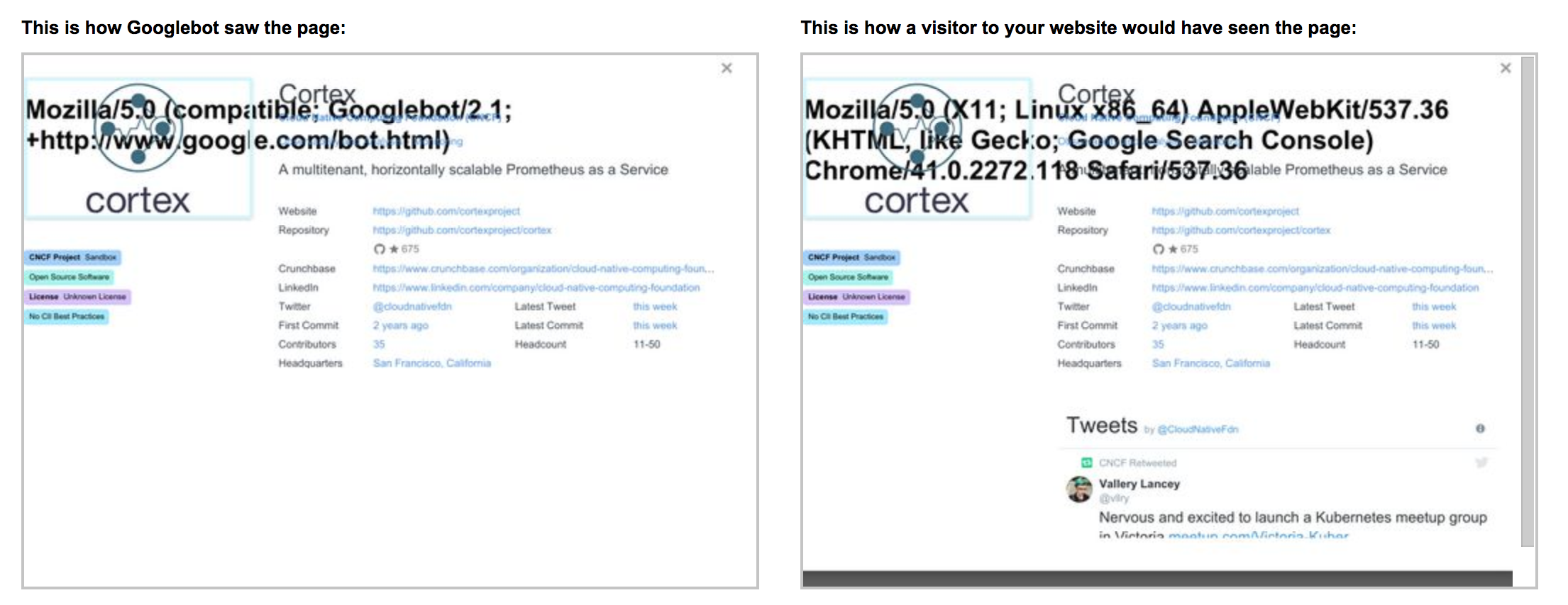 Submitted URL not selected as canonical · Issue #677 · cncf/landscape · GitHub