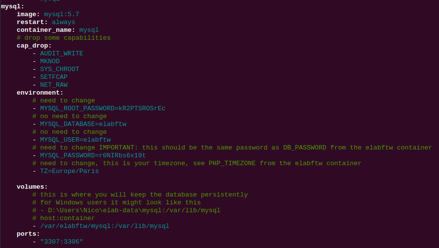 How do I connect to my elabftw-database with phpymadmin with the docker installation · Issue ...