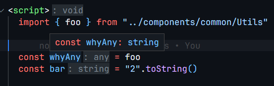 🐛 Bug Inlay Hints Of Imported Types Showing Up As `any` Within The · Issue 499 · Withastro 9759
