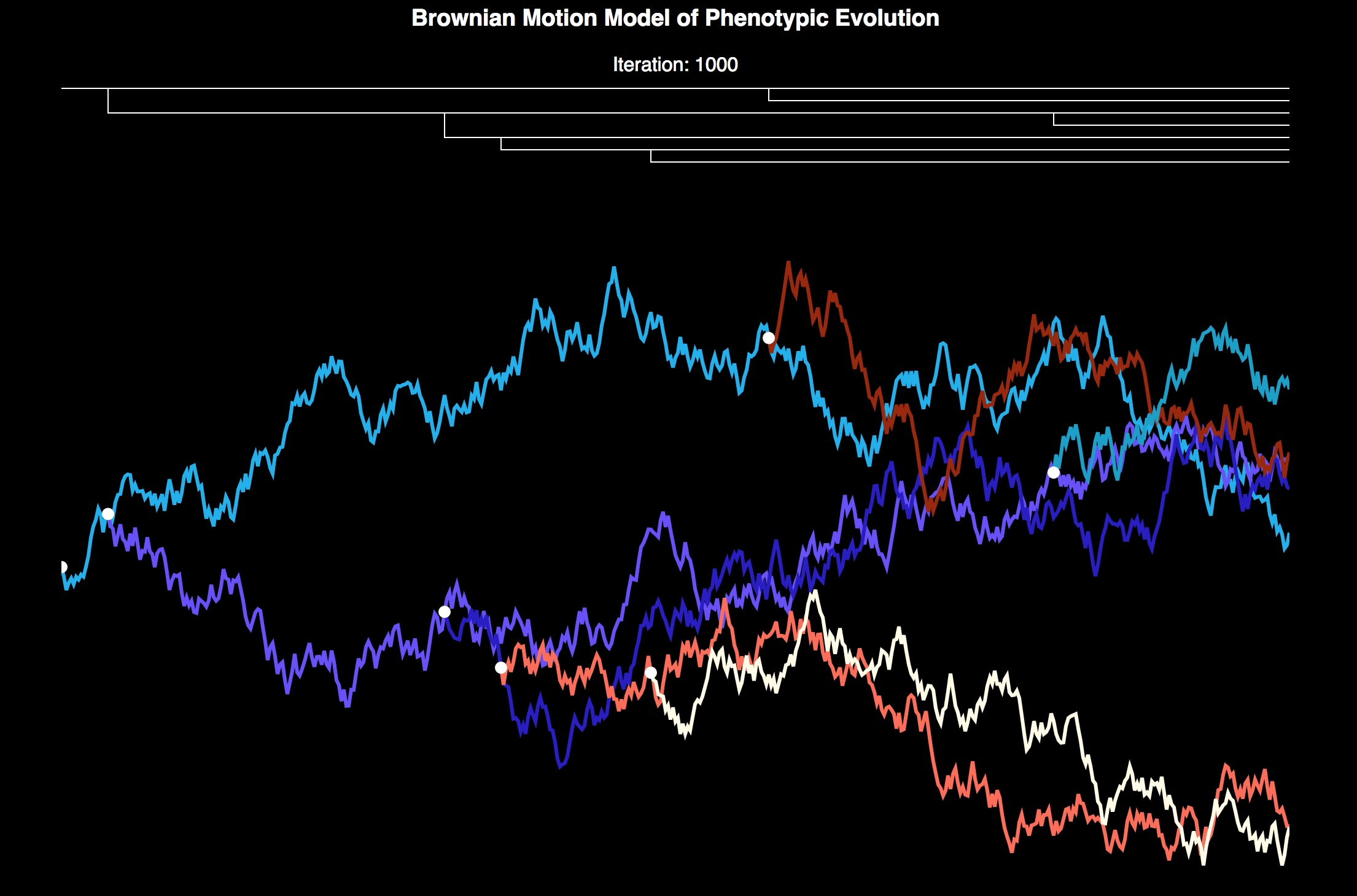 GitHub - r03ert0/phylogenetic-models: Animated simulations of ...