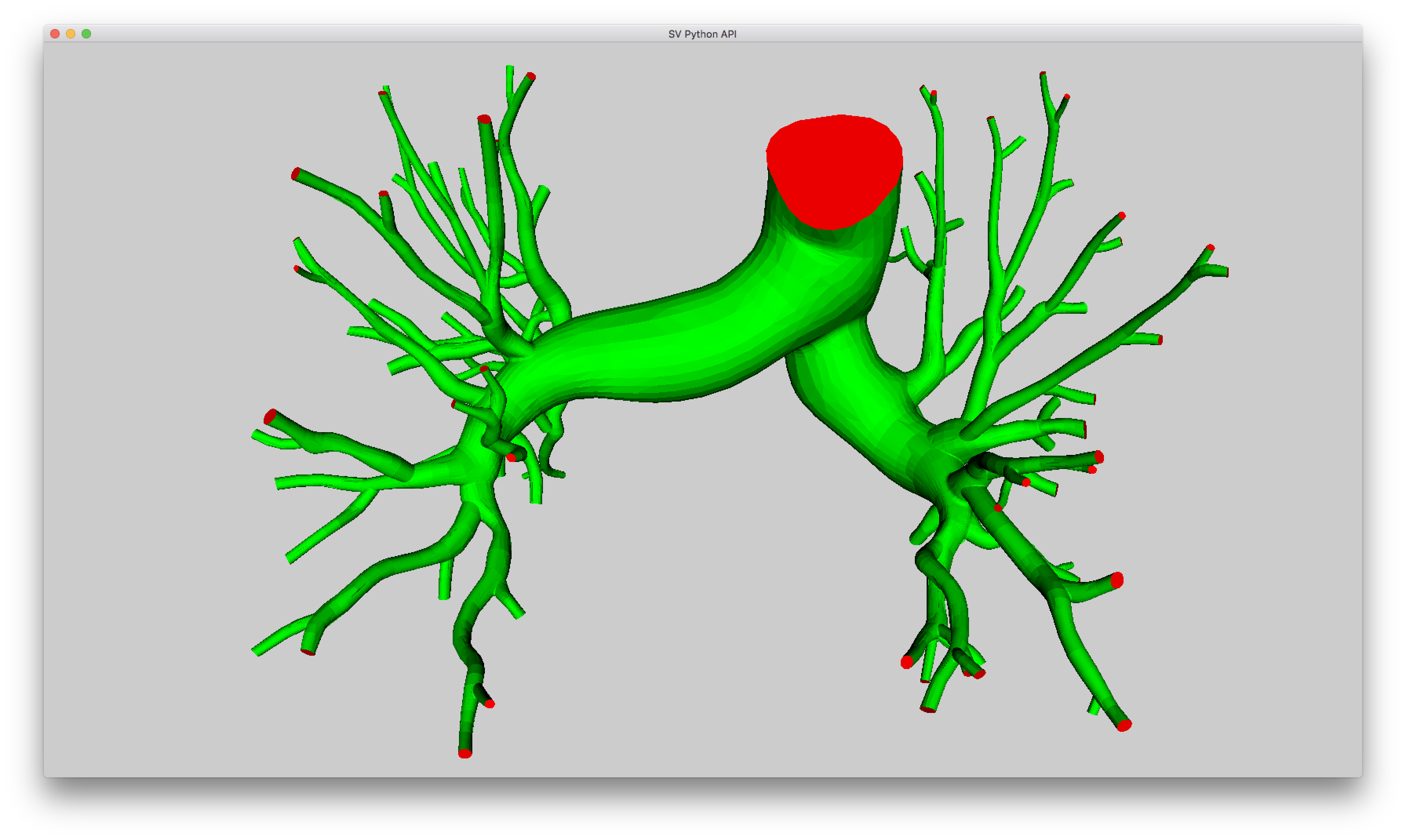 Adding set_ids_for_caps from old python API to beta version · Issue #785 · SimVascular ...